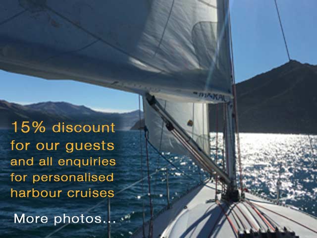 Akaroa Coastal Retreat | B&B and Holiday Home Accommodation